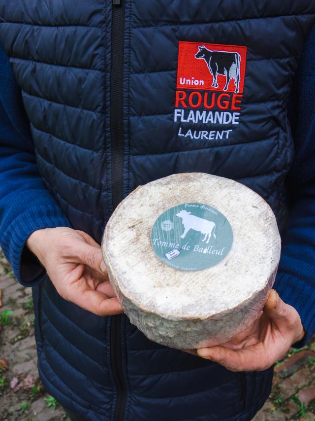 Savourer les fromages flamands | Destination Coeur de Flandre