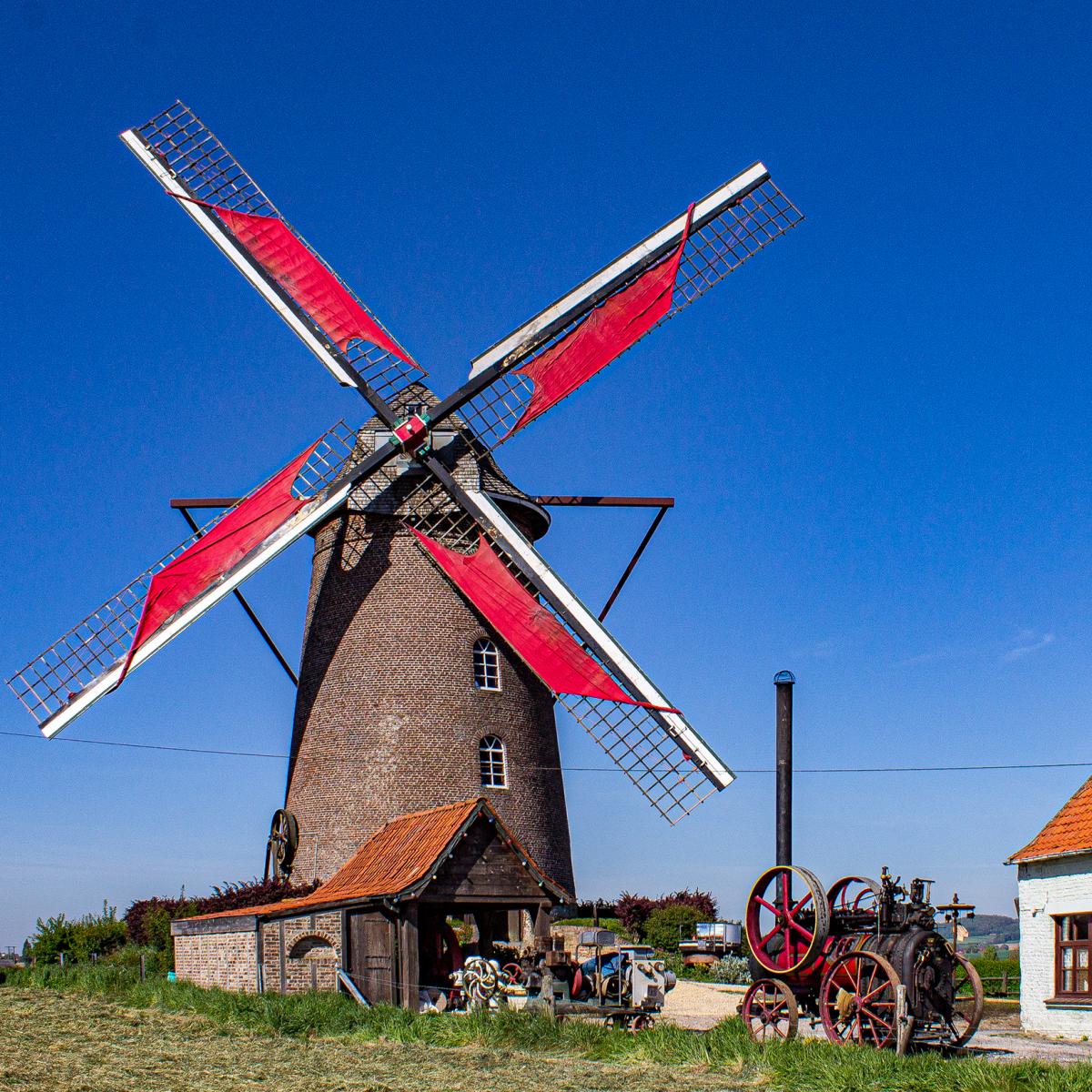 Flemish symbols | coeurdeflandre