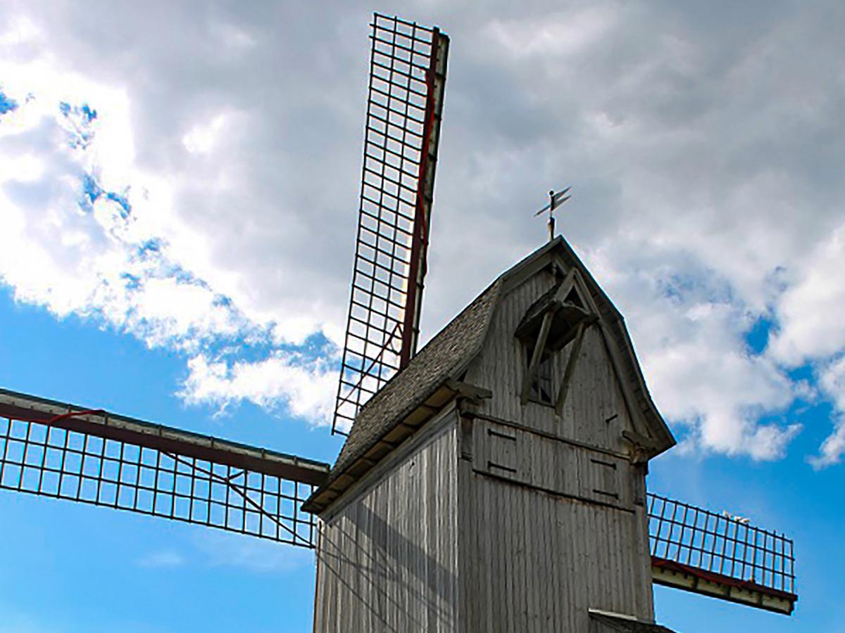 Flemish symbols | coeurdeflandre