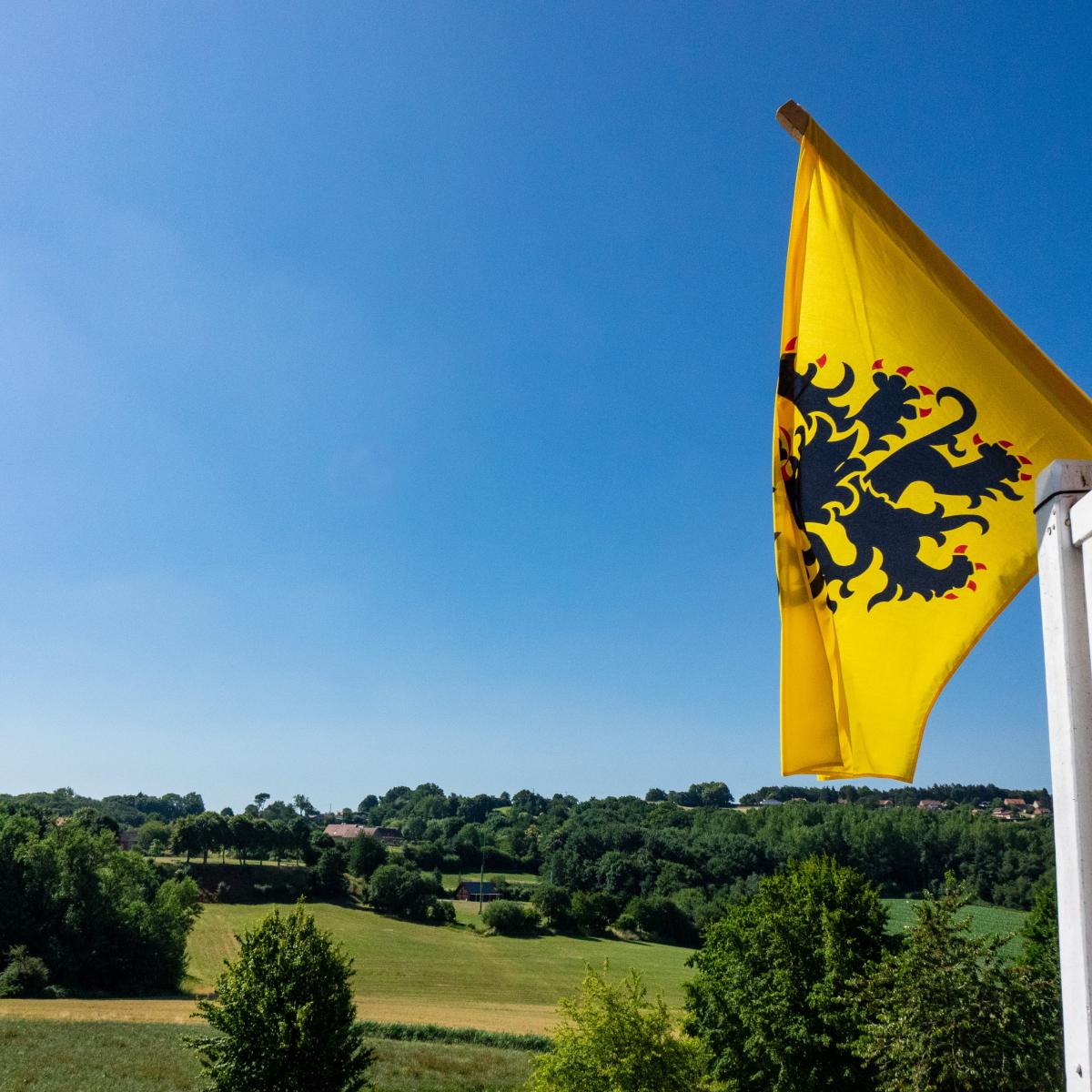 Flemish symbols | coeurdeflandre