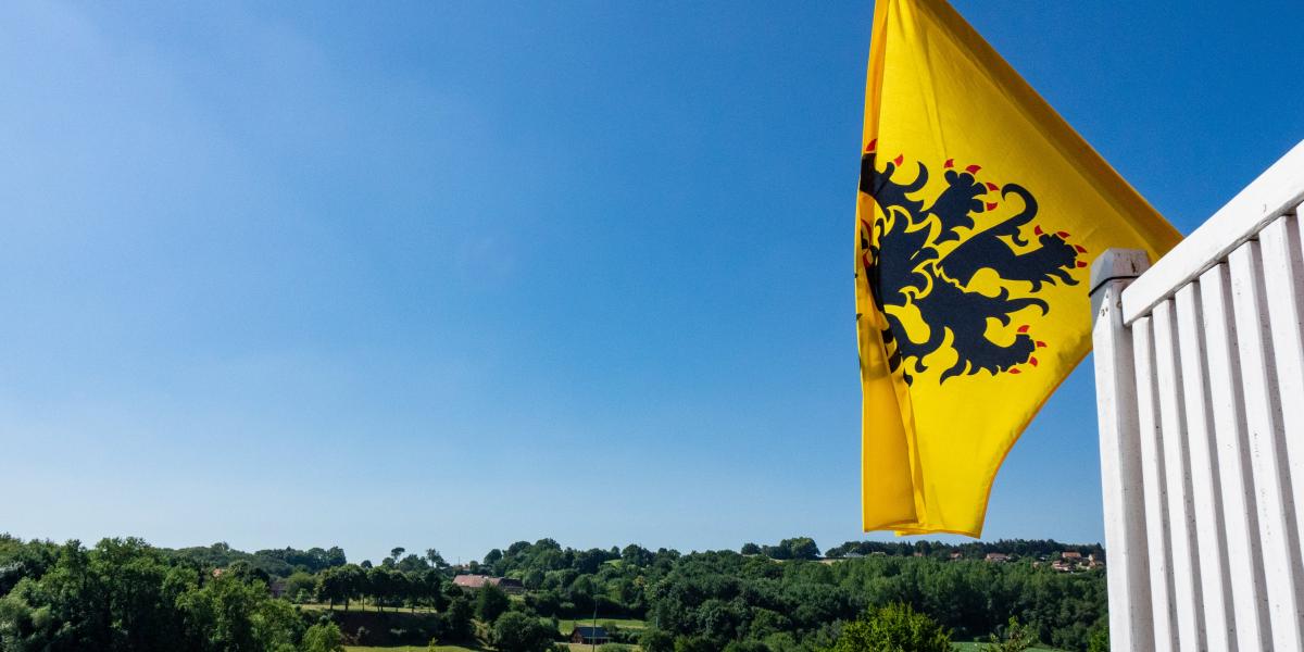 Flemish symbols | coeurdeflandre